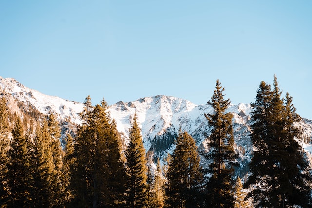 Colorado | Law School Transparency